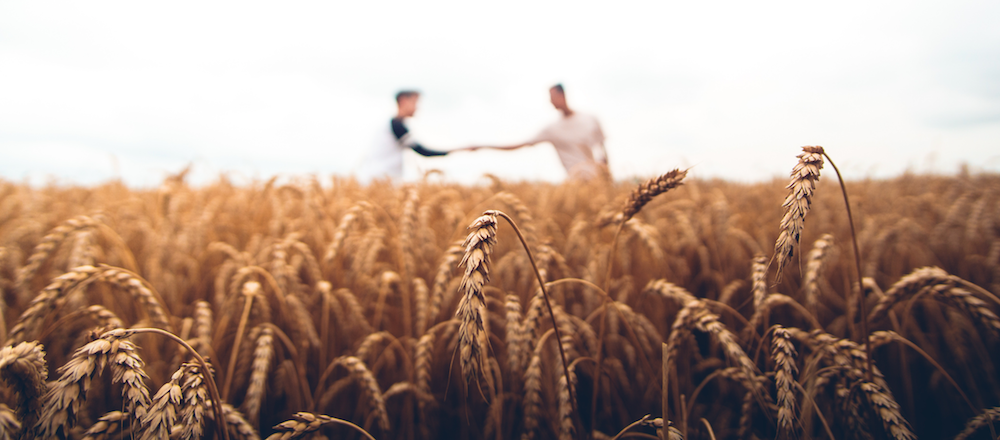 Technology of Participation (ToP) Facilitation Methods | AgriFutures ...