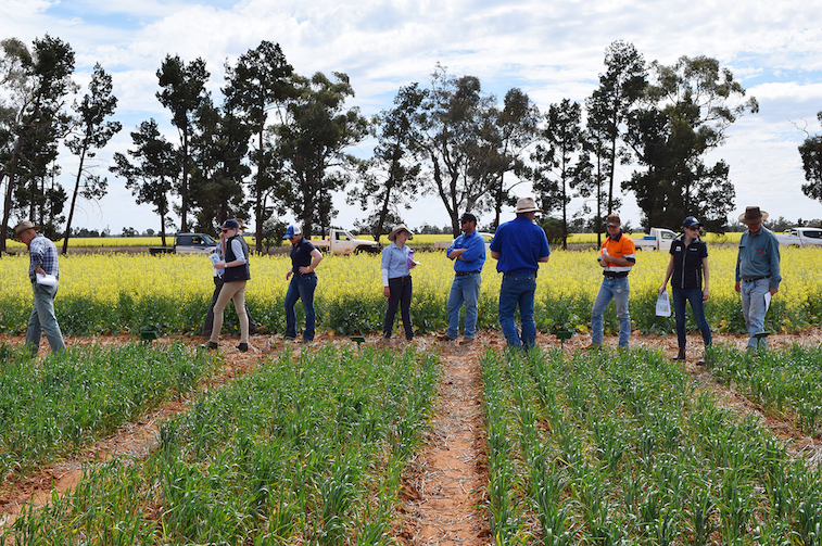 Demonstration Sites in Extension | AgriFutures Extension Practice