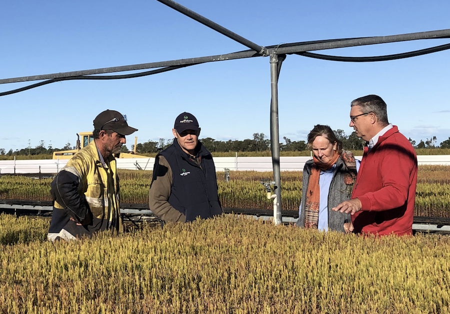 Farmer Learning | AgriFutures Extension Practice